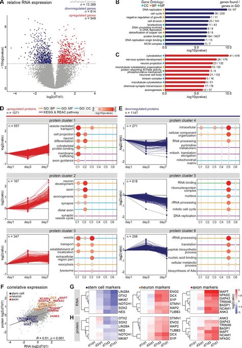 Figures And Data In Quantitative Mapping Of Transcriptome And Proteome