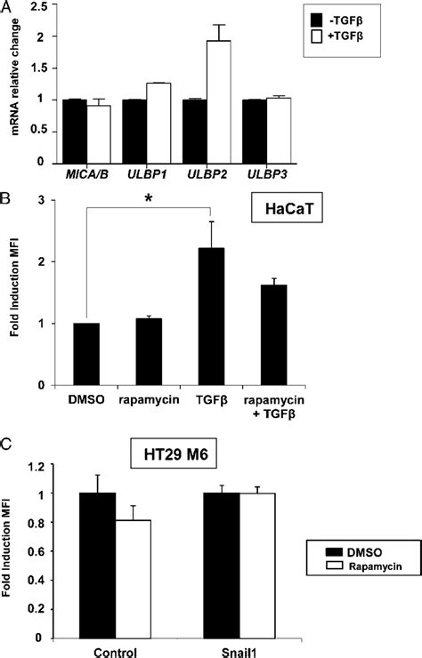 MTOR Is Involved In The Upregulation Of MICA B Expression In