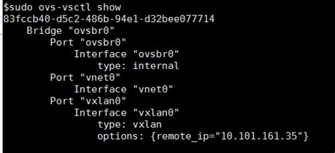 搭建基于openvswitch Vxlan协议的多主机kvm虚拟机连接环境kvm能创建vswitch吗 Csdn博客