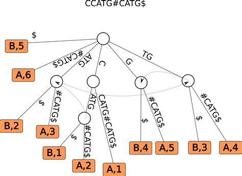 Exercise Sheet 8 Suffix Trees