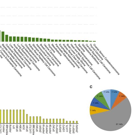 Mutation Landscape Of Key Splicing Factors A Pan‐cancer Analysis Of