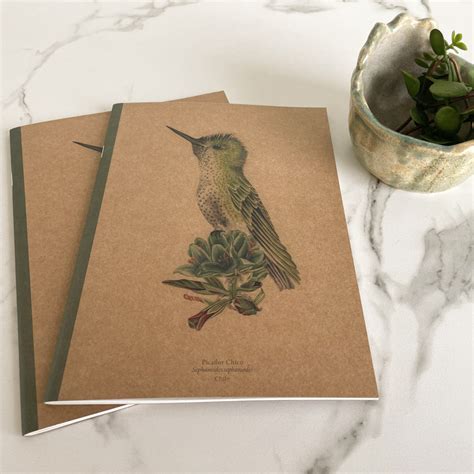 Picaflor Chico Coco Obach