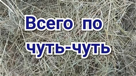 Воскресные текущие дела. Сено, Коровы, Рассадник, Прогулка, Колоды для ...