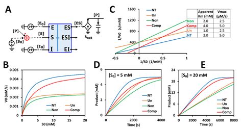 Generalized Circuit Simulations Of Enzymatic Reactions With Different