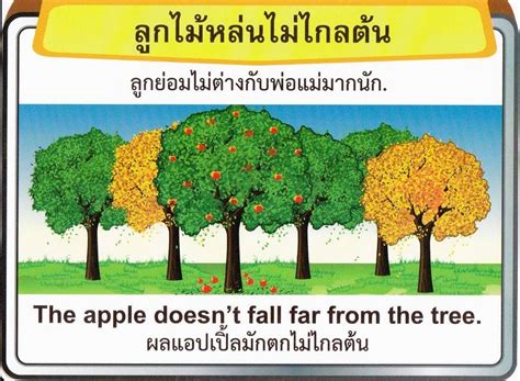 ปักพินโดย เพื่อน ตลอดกาล ใน สุภาษิตไทย ต้นไม้แขวน ชีวิต คำคมเสียดสี