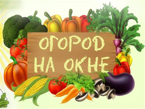 Картинки овощей для огорода на окне - 60 фото