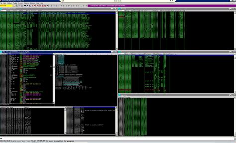 Xsscx Examplesplesk Reports