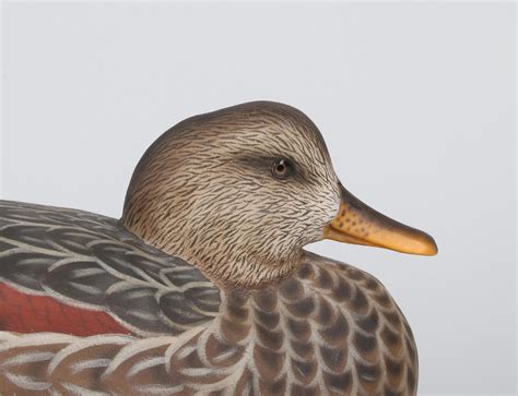 Sold Price Hen Gadwall By Bob Hand Sag Harbor Ny February 6 0122