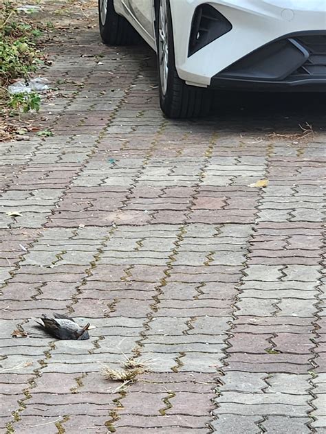 출근했는데 길바닥에 아저씨술먹고자는중 운동 건강 아싸 에펨코리아