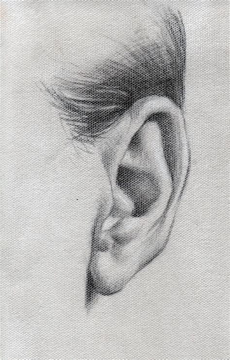 How To Draw An Ear From The Front Surrealist Drawing Techniques