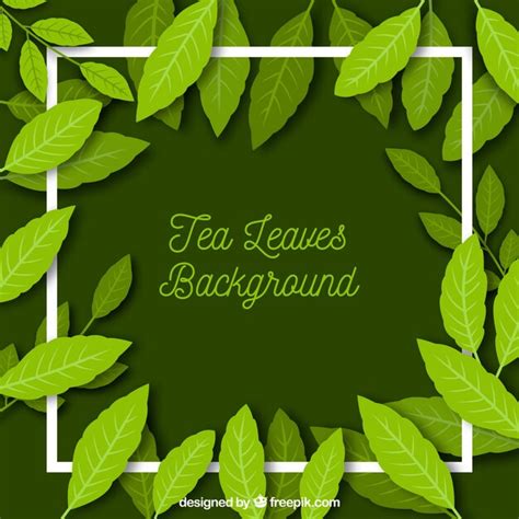 Page 9 Green Tea Background Images Free Download On Freepik