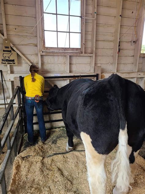 Eaton Cattle Co Eat Eaton Cattle Co Eat Beef Ranch