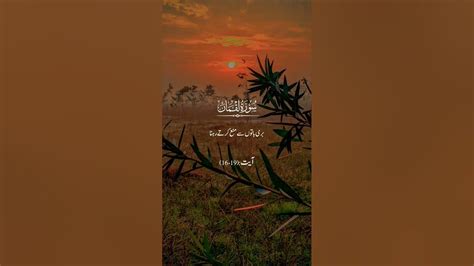 Islamicvedios Whatsappstatus Reels Islamicstatus Viral Quran