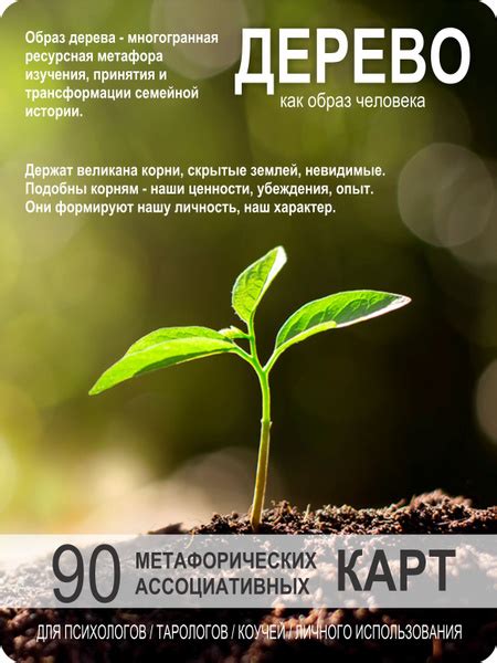 "ДЕРЕВО как образ человека" метафорические ассоциативные карты, 90 ...