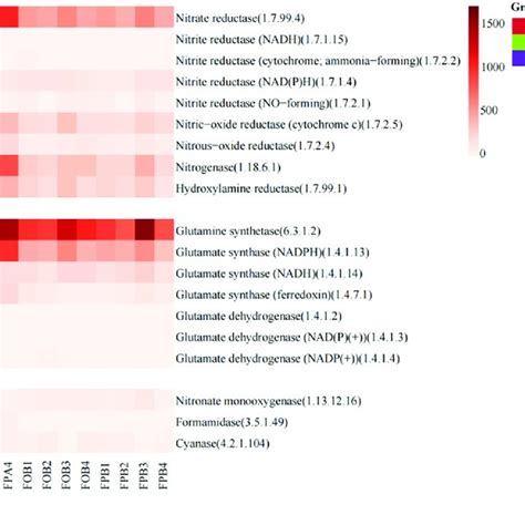 The Heat Map Shows The Proportion And Abundances Of Enzyme Families