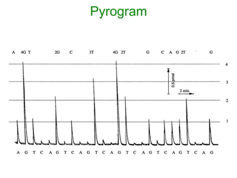 01 Sequencingtechnologies 1ppt For Education Ppt Computer Software And Applications