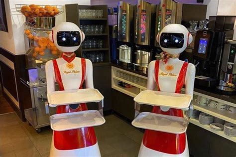 Сервитьори роботи ще посрещнат клиенти на ресторант в Холандия ...