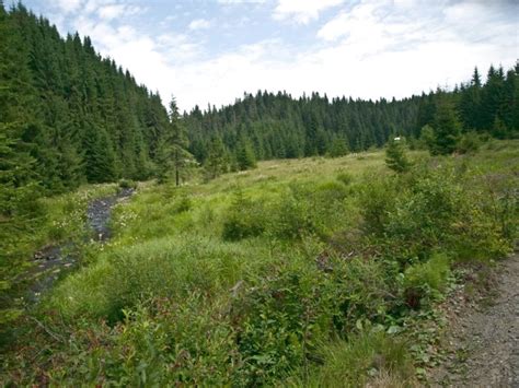 Tur Pe Muntii Ignis Maramures Varful Ignis Blidari Poiana Lui Dumitru Cheile Tatarului