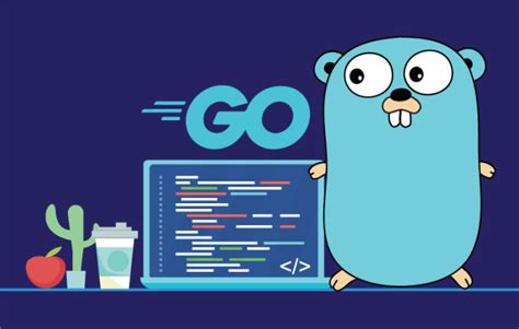 Develop Your Go Lang Backend By Jucester Fiverr