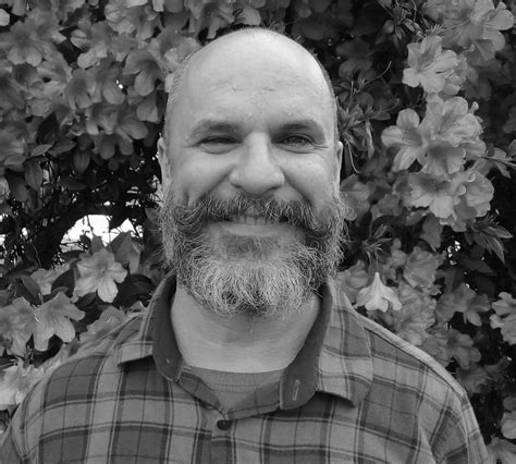 Os Macacos Bêbados Fabio Angeoletto Opovo