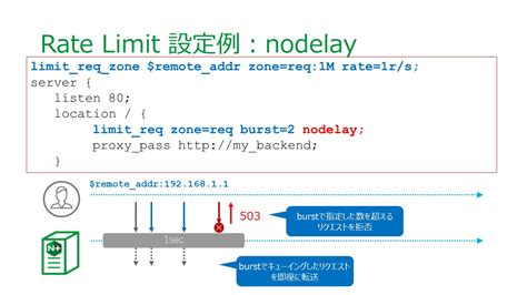 Nginx Plus Nginx Plus Lab Documentation