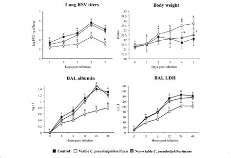 Effect Of Corynebacterium Pseudodiphtheriticum Strain 090104 On The Download Scientific