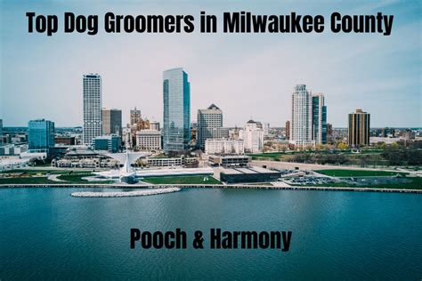 13 Top Dog Groomers In Milwaukee County Pooch And Harmony