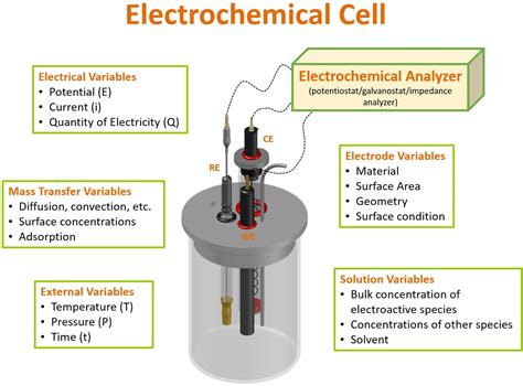 Diagram Three Electrode System Differences Between Two Elect