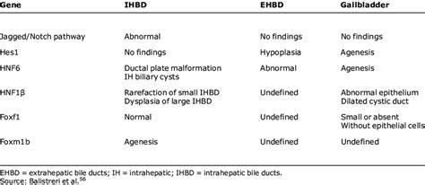 Molecular Circuits That Control The Morphogenesis Of The Biliary