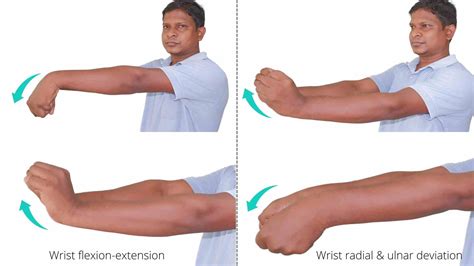 9 Effective Wrist Fracture Rehabilitation Exercises To Regain Mobility Fast