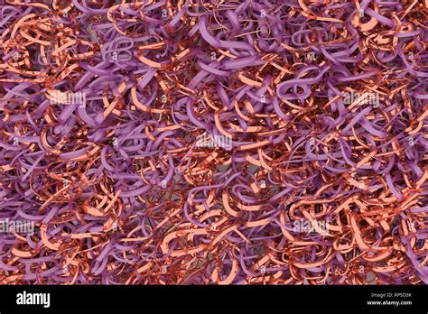 Geometric Messy String Cgi Composition For Web Page Wallpaper Graphic Design Catalog
