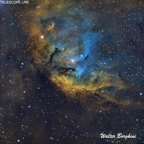 Tulip Nebula Telescope Live