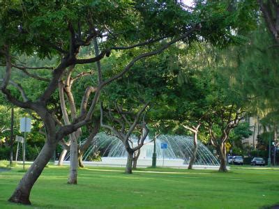 Kapiolani Park Honolulu