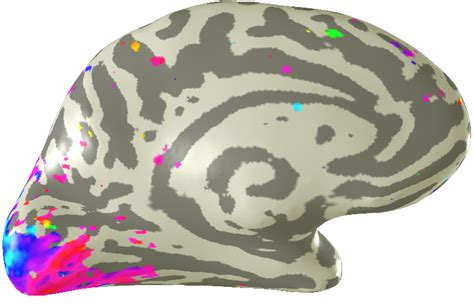 GitHub Marco Create Retinotopy Pipeline To Map Visual Input From The Retina To Neurons Using