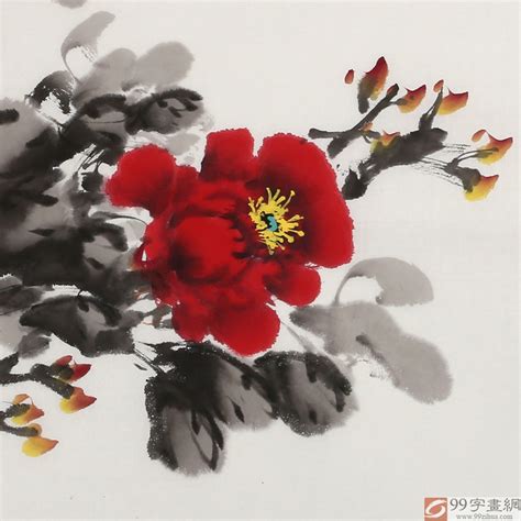 河南美协会员 王伟宁 四尺斗方《大富贵》 牡丹画 99字画网