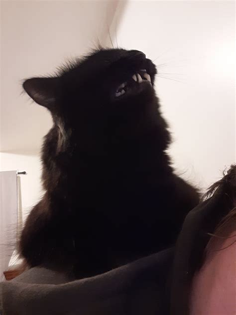 Ask Princess Hailee On Tumblr