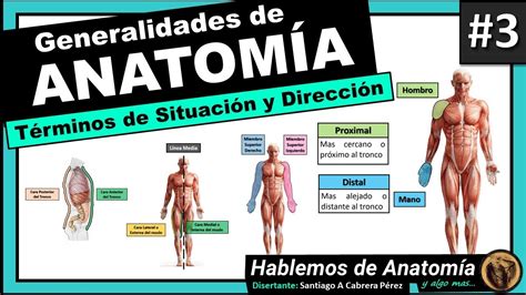ANATOMIA TERMINOS ANATOMICOS DE SITUACION Y DIRECCION ANATOMÍA