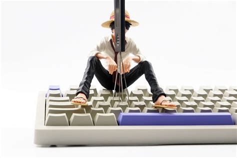 提示信息