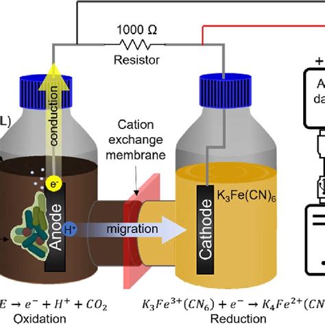 e operation scheme for microbial fuel cells mfc used in experimental
