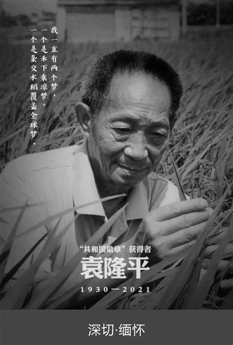 往后，每一年的“稻花香里说丰年”，说的都是您澎湃号·政务澎湃新闻 The Paper