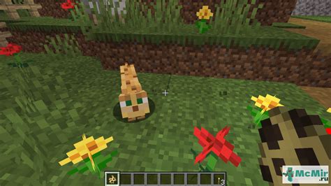 Яйцо призыва оцелота Как сделать яйцо призыва оцелота в Майнкрафт Майнкрафт википедия