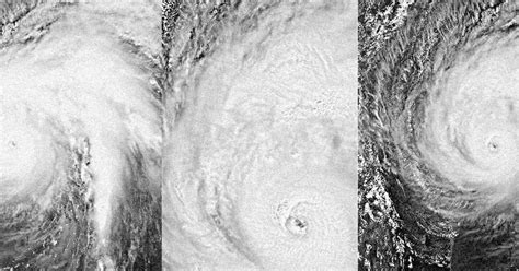 From Rainfall Totals To Oral Histories Hurricane Harvey Data Offers Multiple Portraits Of A