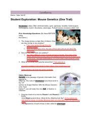Mouse Genetics One Trait Pdf Name Date Feb Babe Exploration Mouse Genetics One Trait