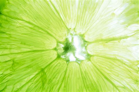 레몬 질감의 클로즈업 매크로 매크로 레몬 질감 매크로 클로즈업 표면 질감 라임의 육즙이 많은 조각 0명에 대한 스톡 사진 및 기타 이미지 Istock