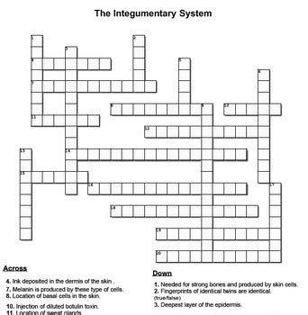 The Integumentary System Crossword Puzzle A By Gershom Classroom