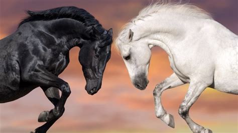 【需要进vx群的看过来】欢迎加入马雯雯粉丝群！ 斗鱼社区直播爱好者的聚集地