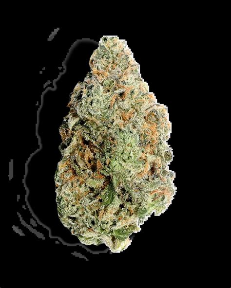 Classic Roots Flower Buy Classic Roots Online