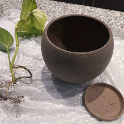 How To Heal Your Staff With Heal The Workshop Sharon Wise Posted On The Topic Linkedin