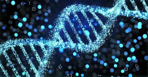 Wdl 120 Enhancing Workflow Description Language For Bioinformatics Richard Shan