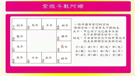 紫微斗數命盤排盤基本知識一 Pds Youtube
